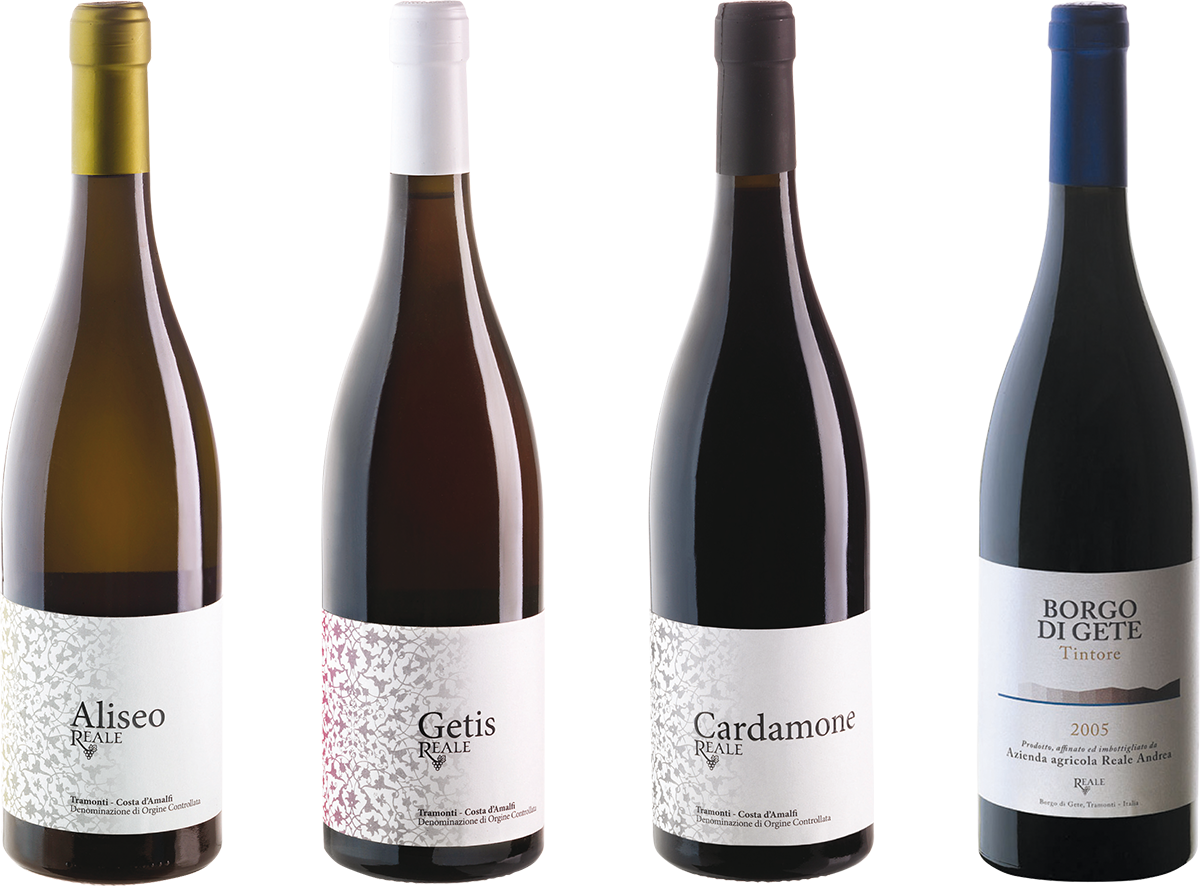 Reale Experience – Reale – Tours and wine tasting on the Amalfi Coast